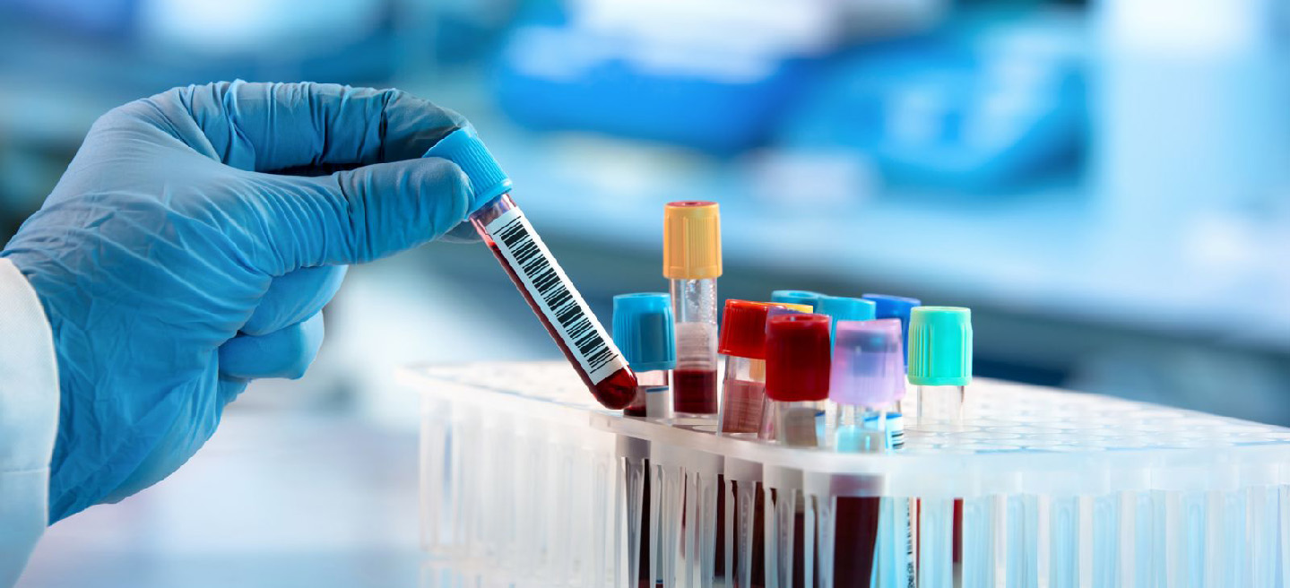 Home Parsemus Foundation