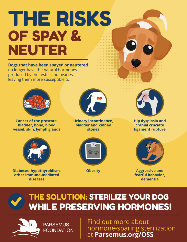 How Spay & Neuter Affect Health - Parsemus Foundation